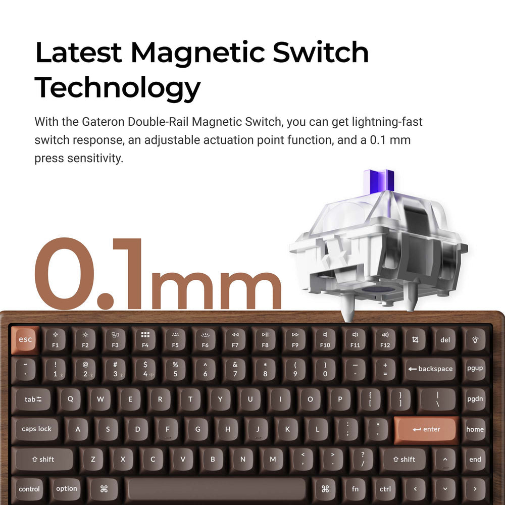Keychron K2 HE Wireless Magnetic Switch Custom Keyboard-All-Wood Speci ...
