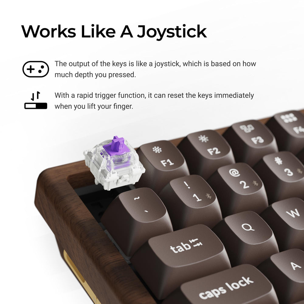 Keychron K2 HE Wireless Magnetic Switch Custom Keyboard-All-Wood Speci ...
